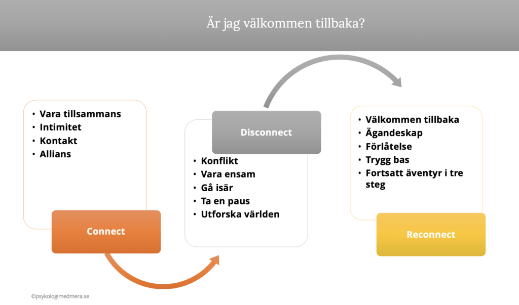 Tresteg i anknytning - Psykologi med mera - psykologi och relationer